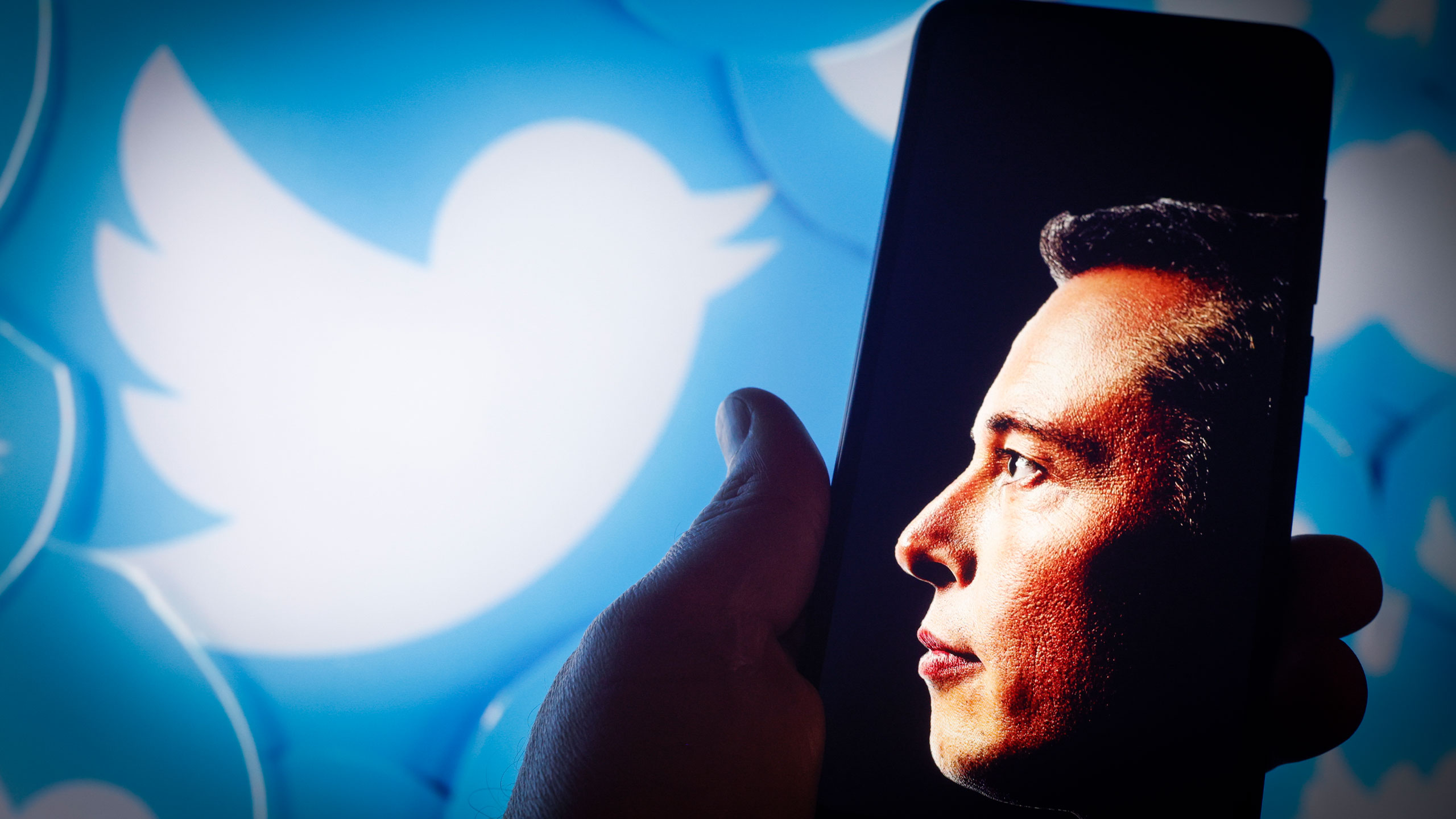 Trolls and toxicity: what Musk's Twitter will look like - Faculty of ...